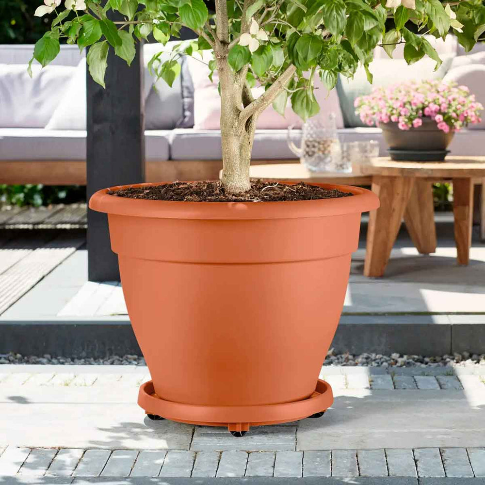 universal plant taxi 40cm terra - roller board from elho